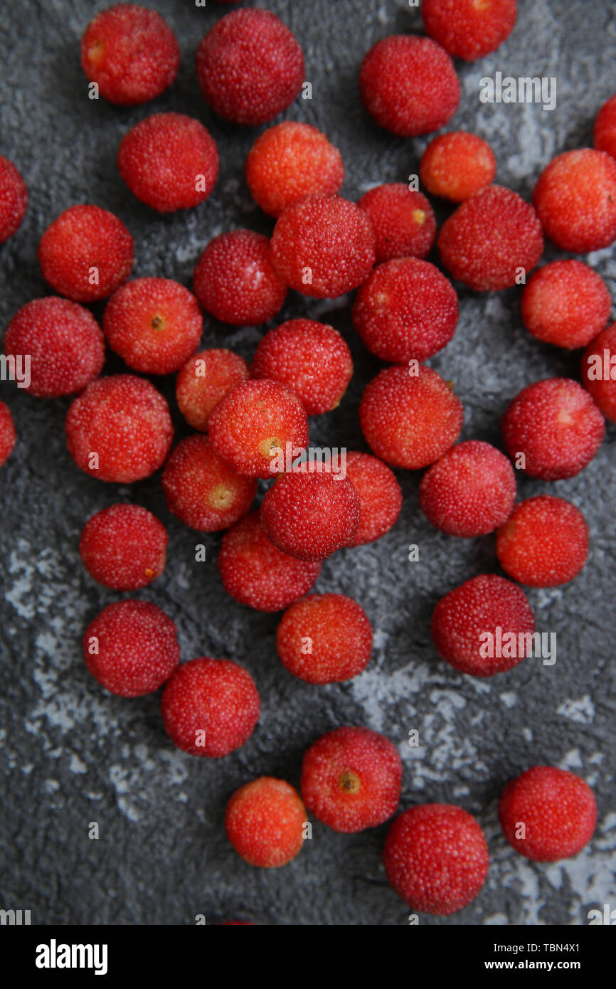 Bayberry leaves hi-res stock photography and images - Alamy