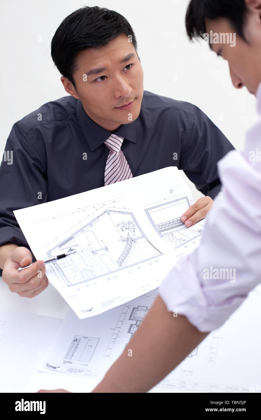 Business people analyzing drawings Stock Photo - Alamy