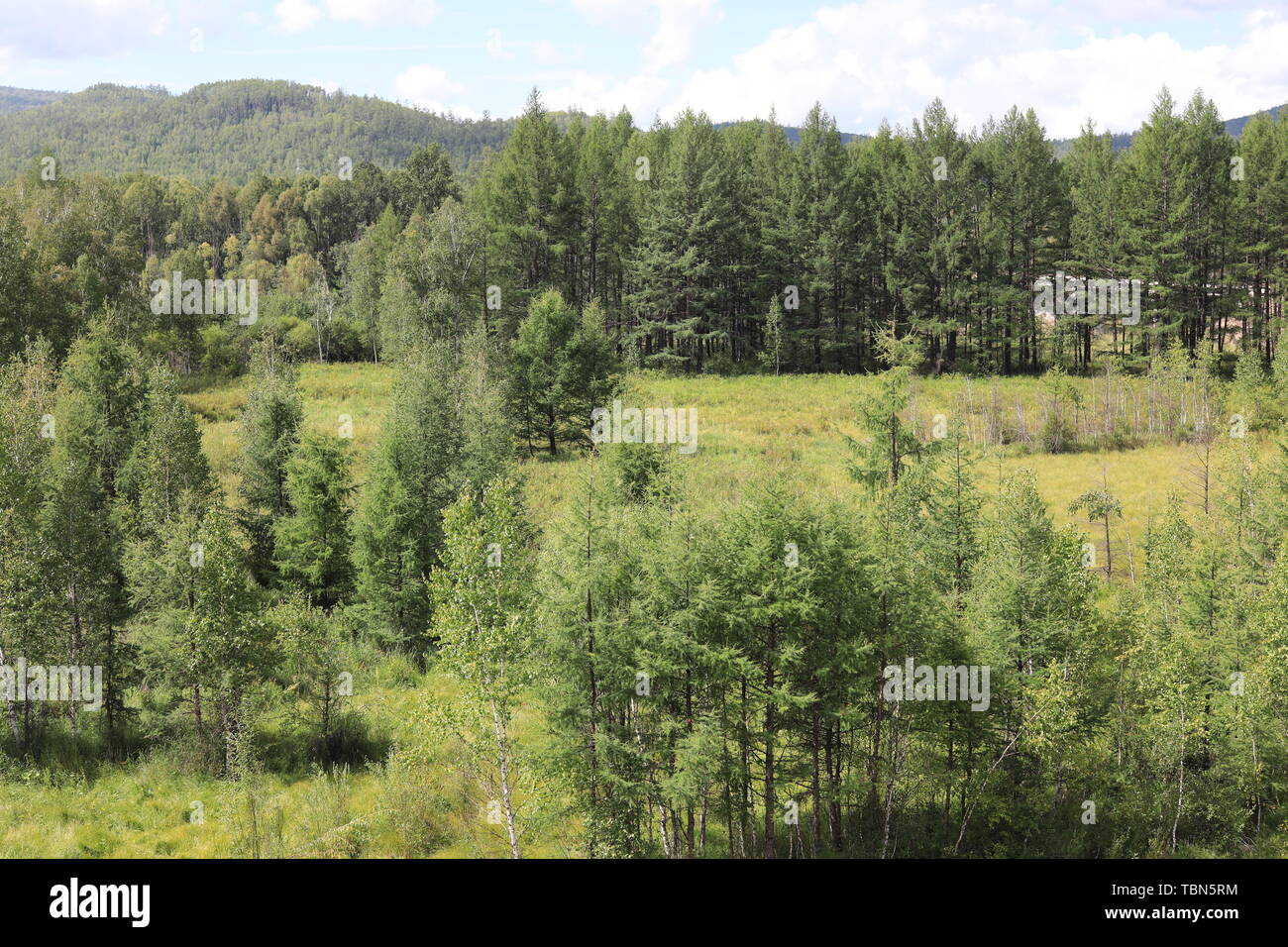 The mordaoga forest park hi-res stock photography and images - Alamy