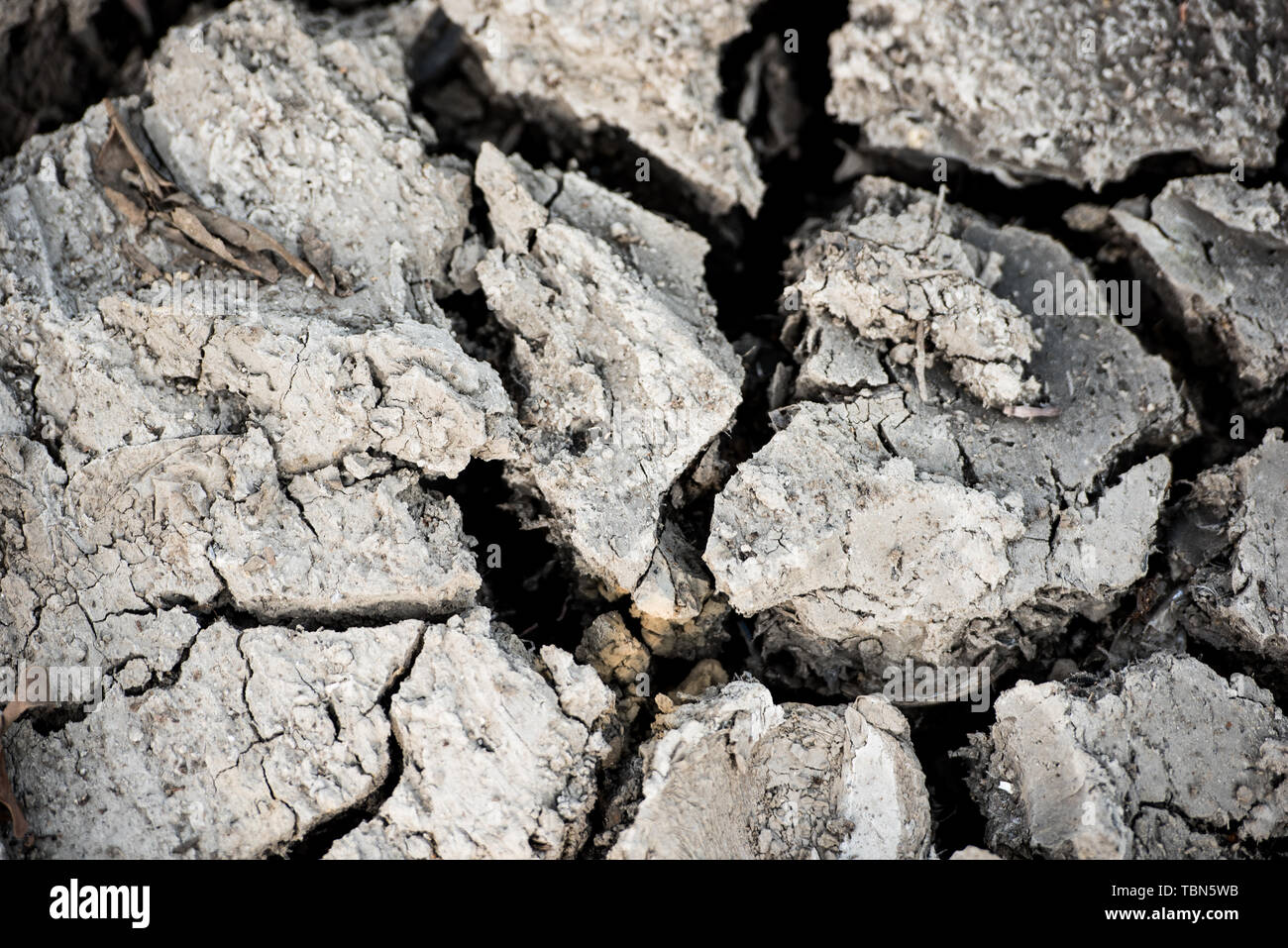Cracked drought ground surface background. Disaster concept Stock Photo ...