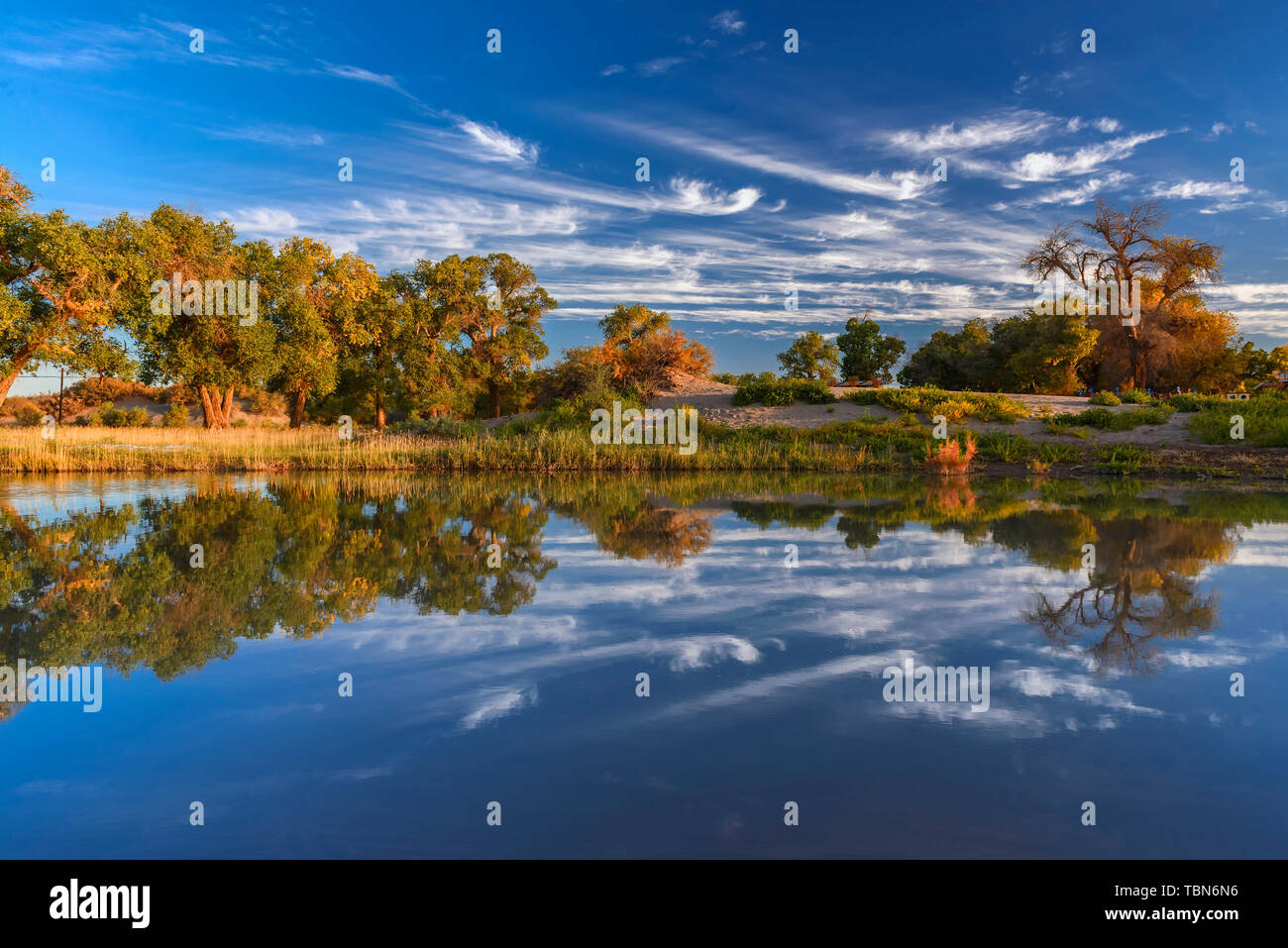 Hu yang and hu yang lin hi-res stock photography and images - Alamy