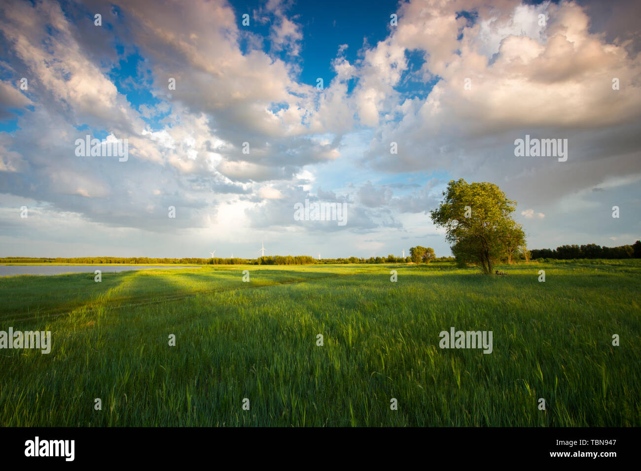 Simple scenery photography material Stock Photo - Alamy