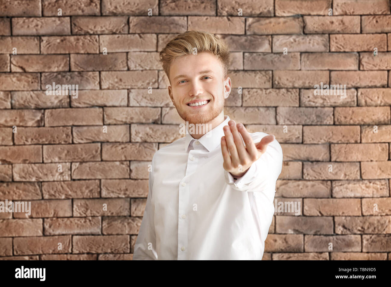 Handsome young man inviting viewer against brick background Stock Photo ...