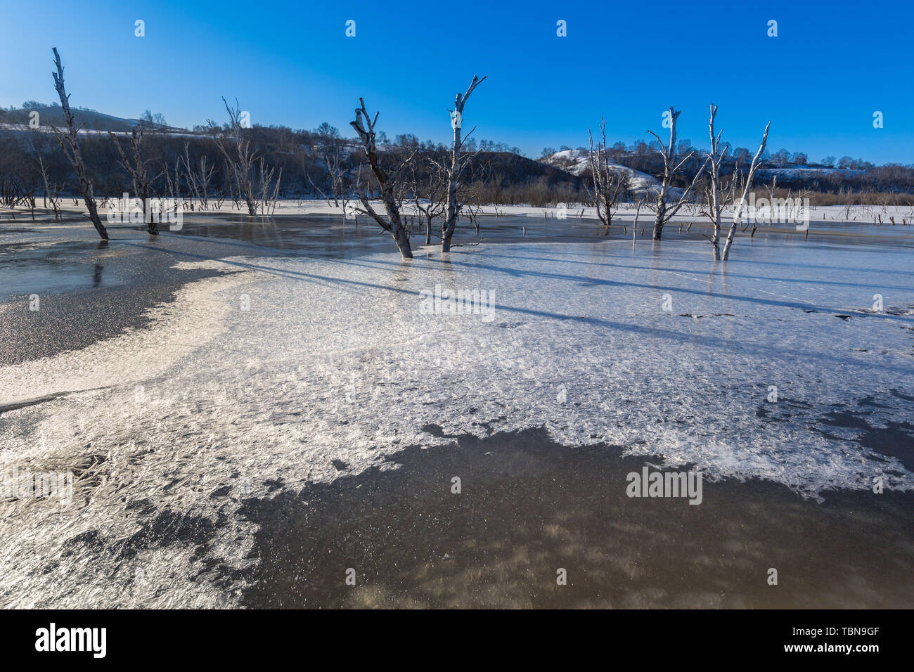 Cracking ice lake surface hi-res stock photography and images - Alamy