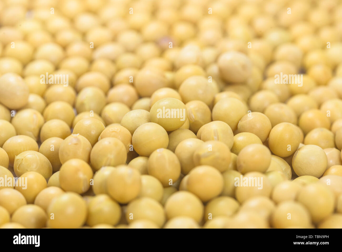 High protein and close up transverse composition yellow fresh hi-res ...