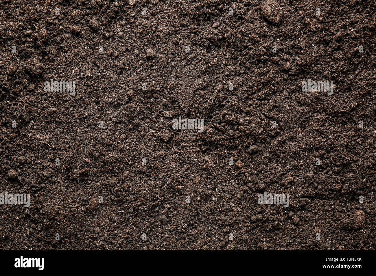 Heap of soil, closeup Stock Photo - Alamy