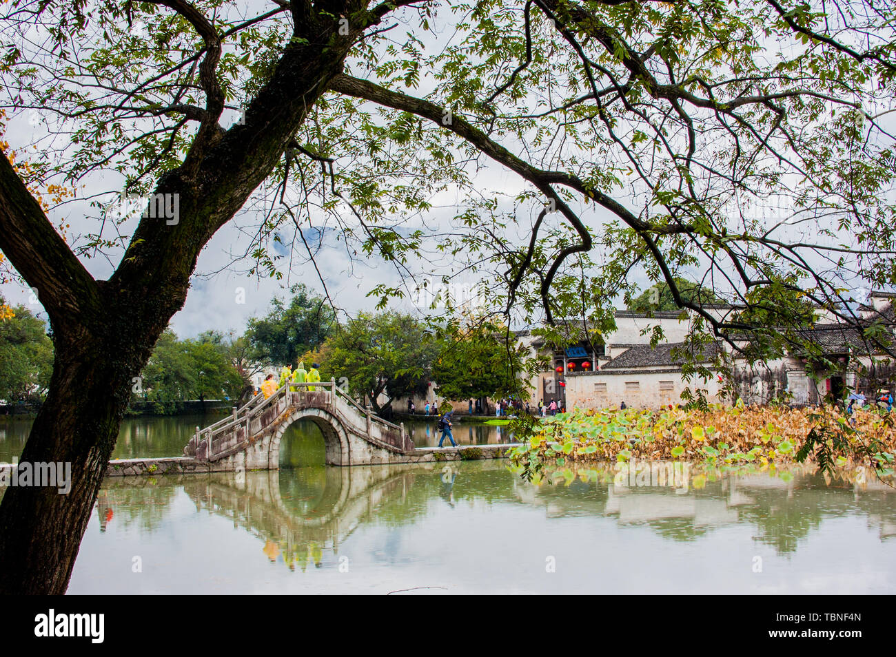 South Lake, Hongcun Stock Photo - Alamy