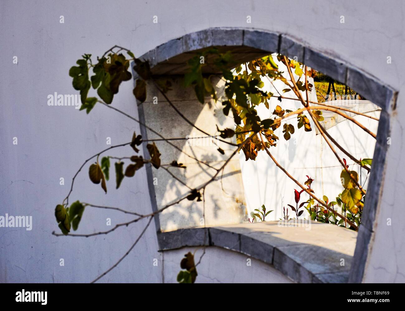 Out of the wall Stock Photo - Alamy