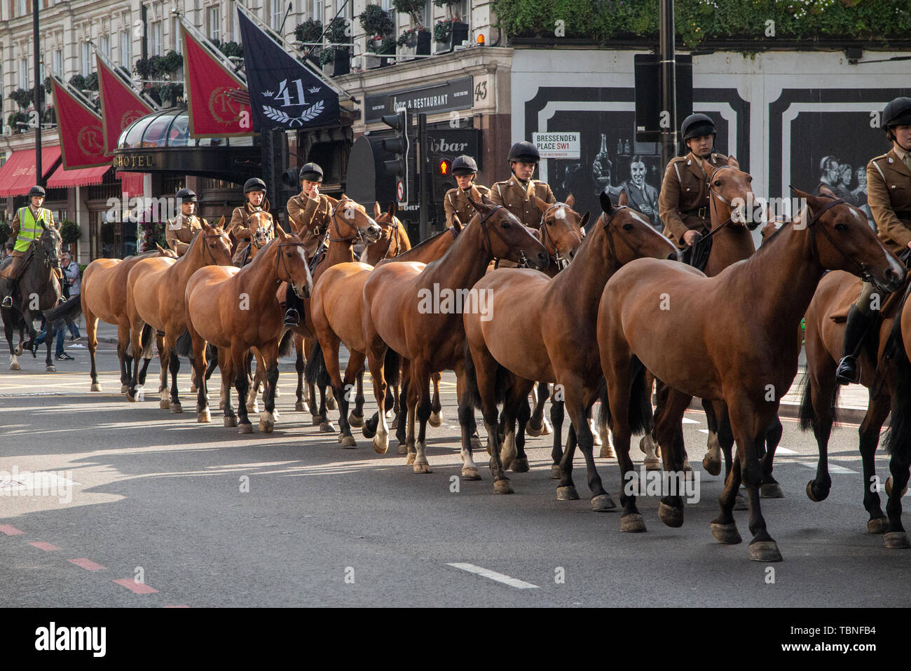 Central london horses hi-res stock photography and images - Alamy