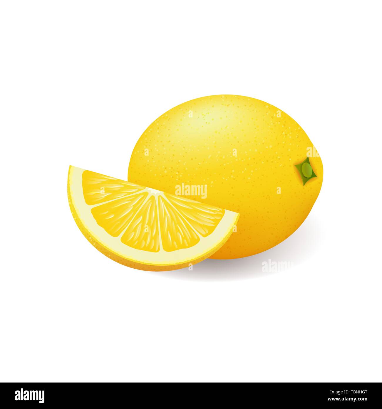 Realistic bright yellow lemon whole and sliced vector Stock Vector ...
