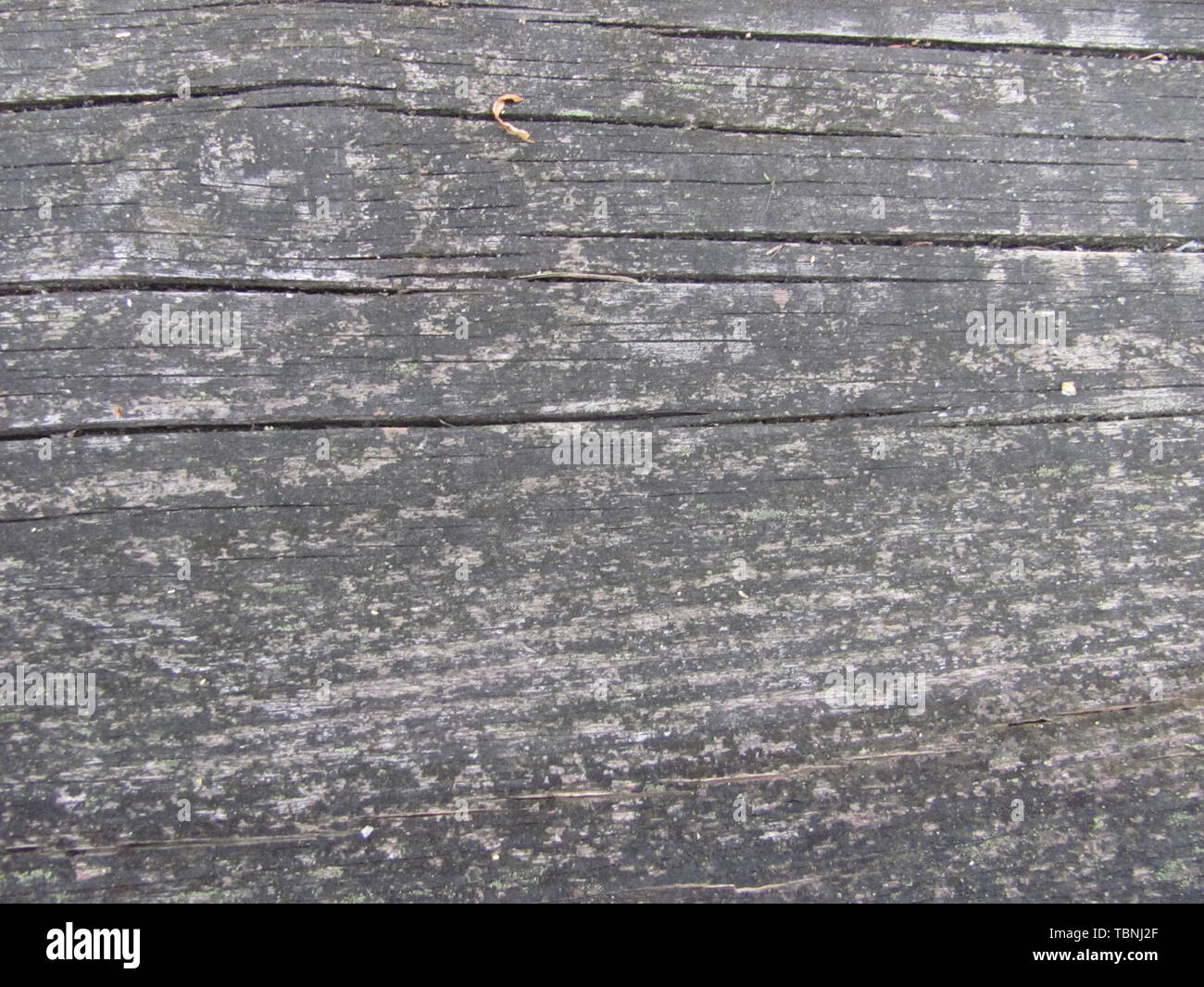 old weathered gray wood texture Stock Photo - Alamy