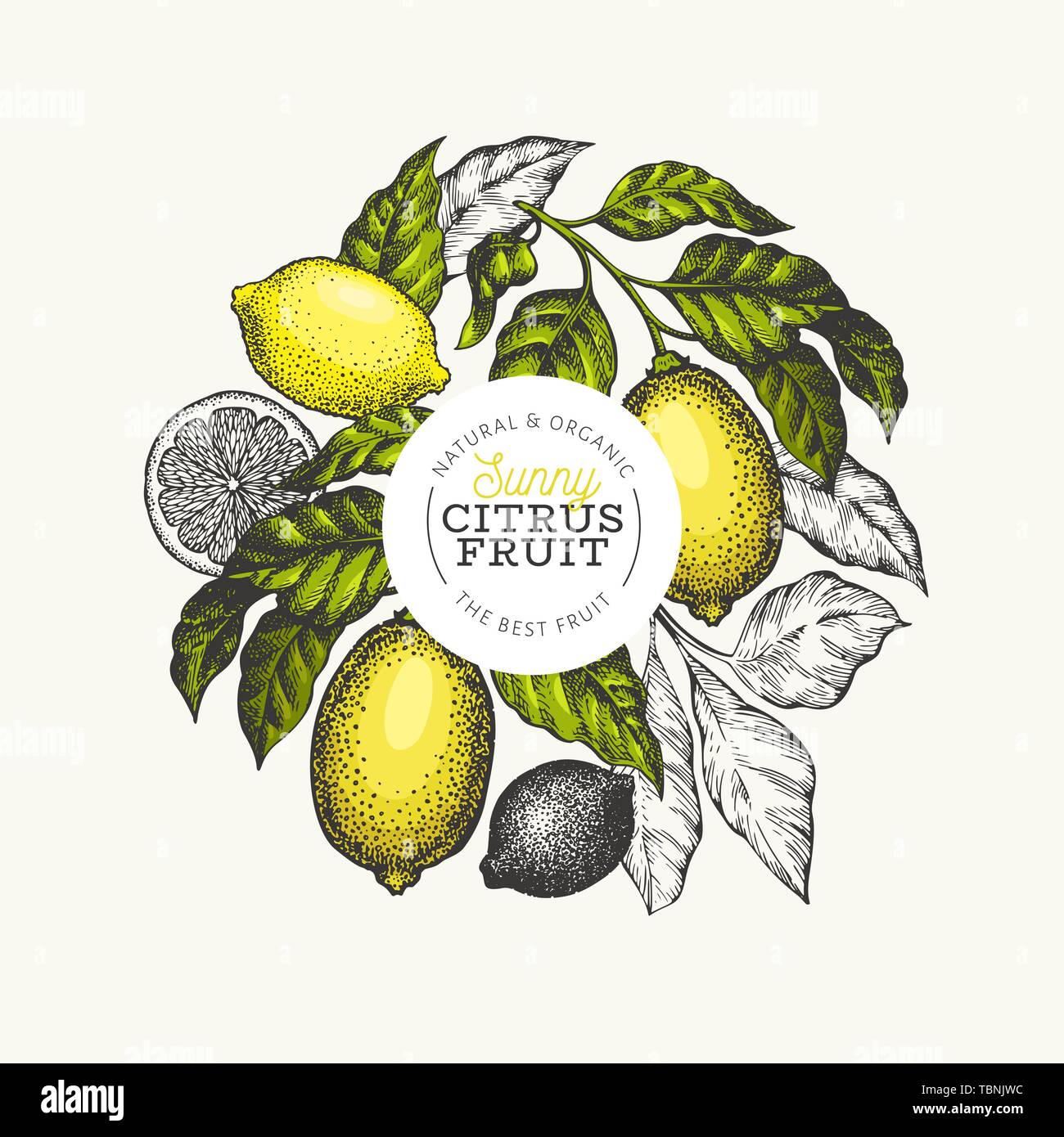 Lemon tree banner template. Hand drawn vector fruit illustration ...