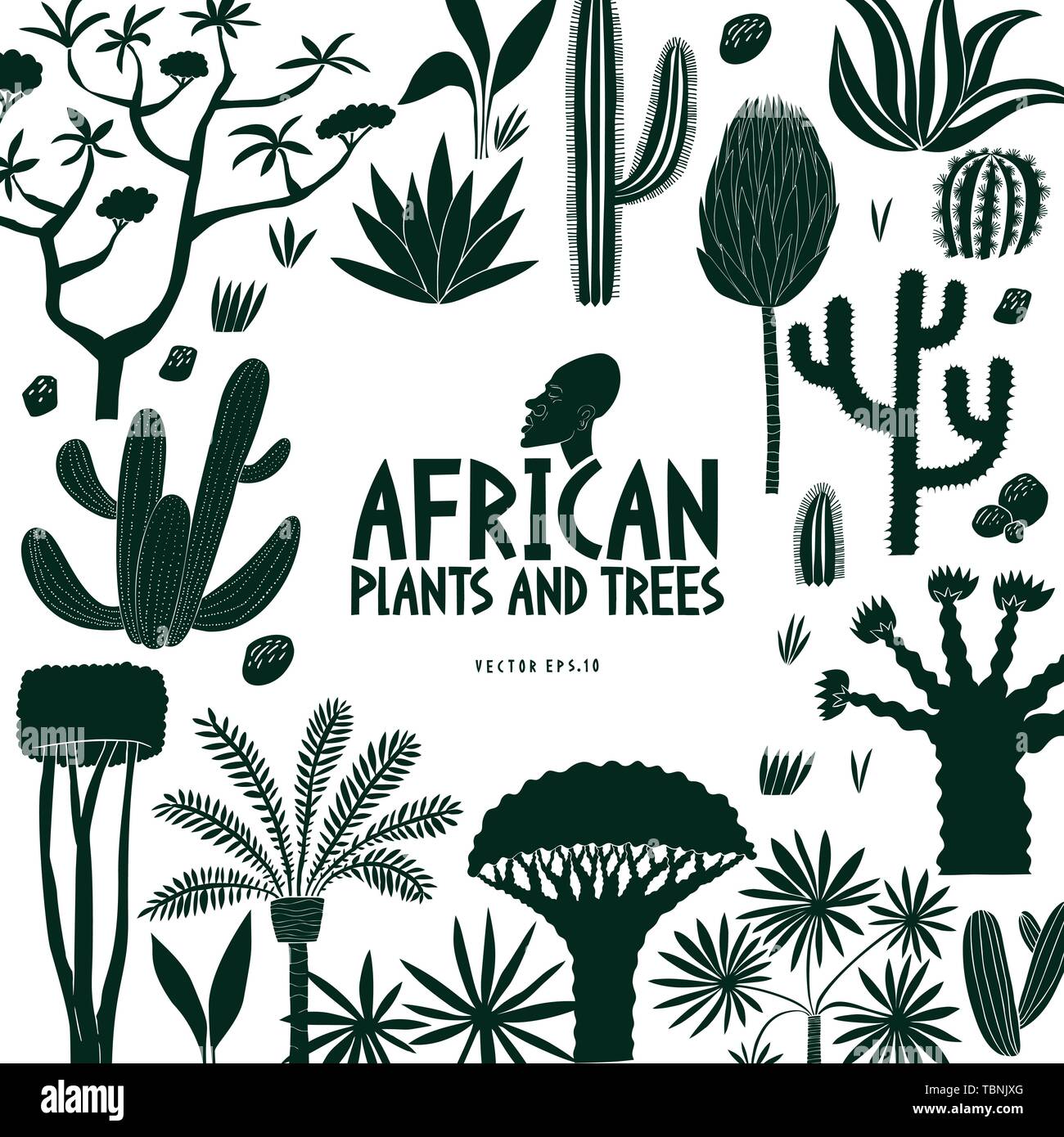 Fun hand drawn African plants and trees design template. Botanical ...