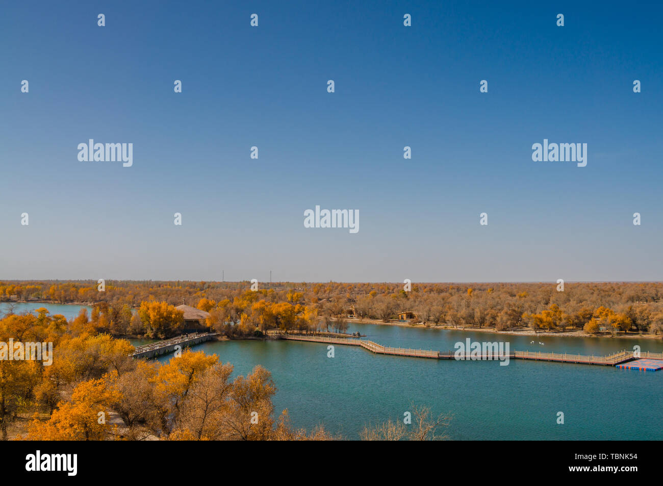 Poplar Lin, lake, reflection, beautiful scenery Stock Photo - Alamy
