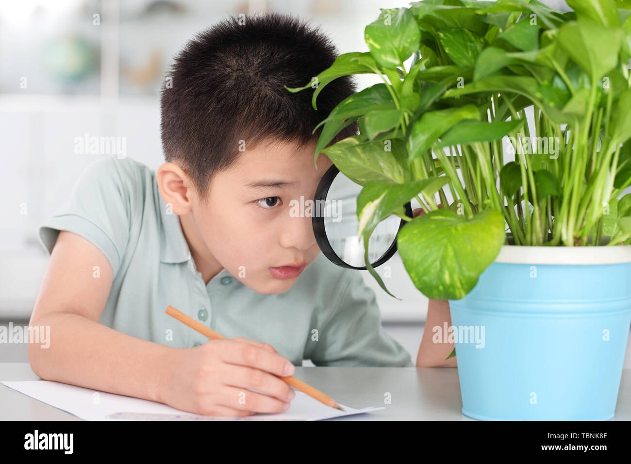 Primary school students take biology class Stock Photo - Alamy