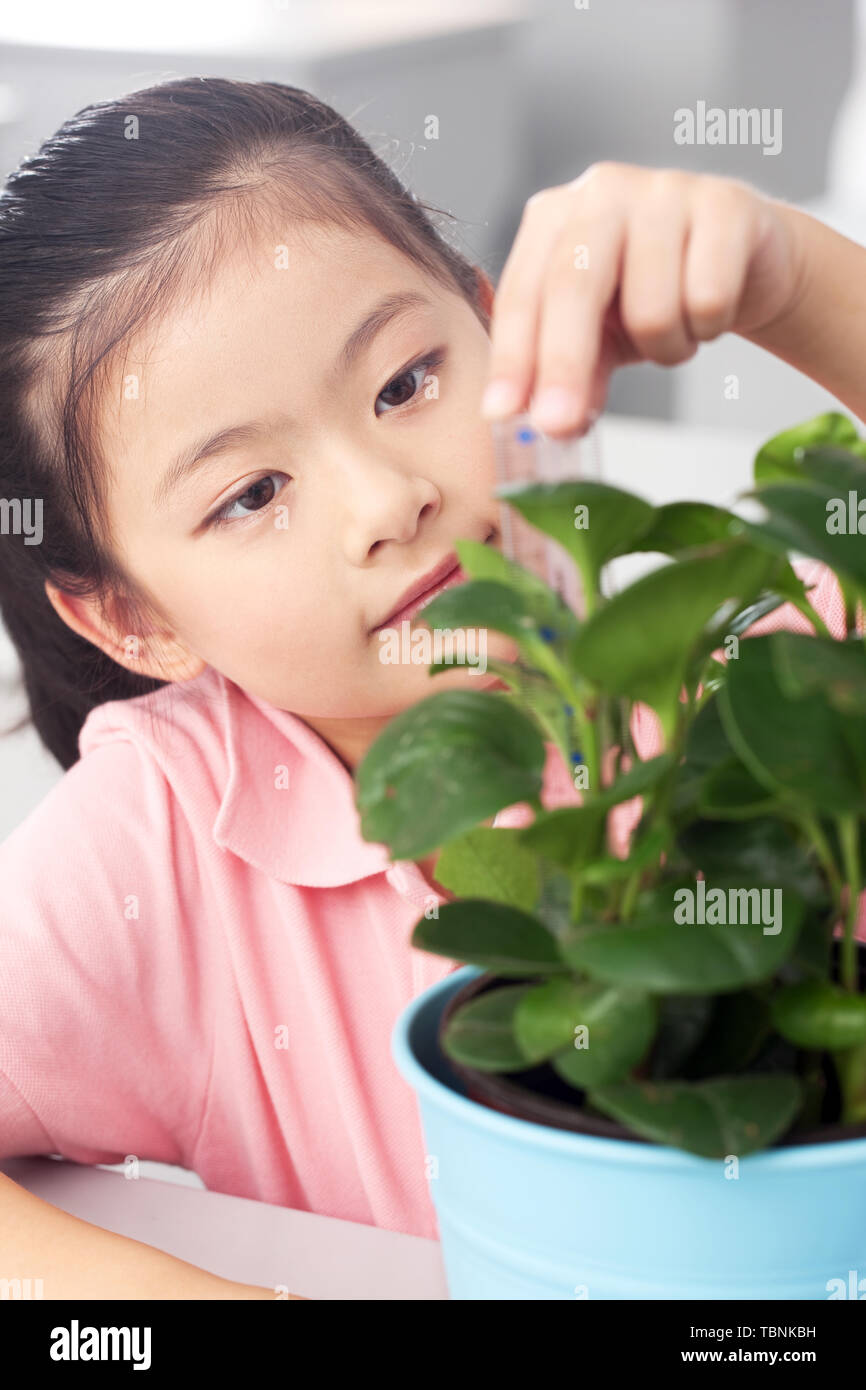 Primary school students take biology class Stock Photo - Alamy