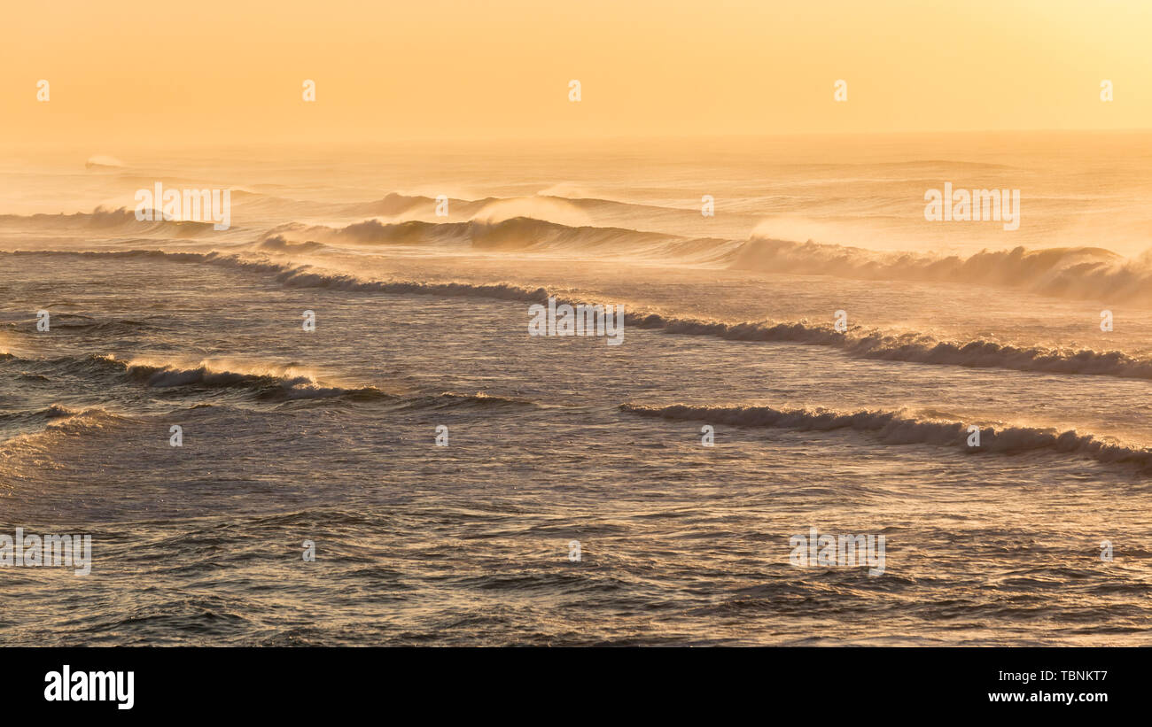 Beach ocean waves offshore winds spray morning overlooking golden color ...