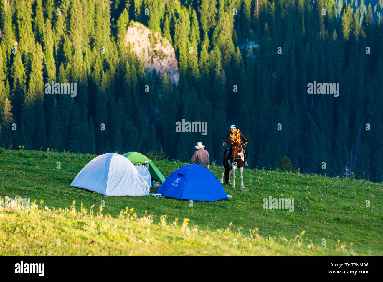 Landscape with herdsmen and cattle hi-res stock photography and images ...
