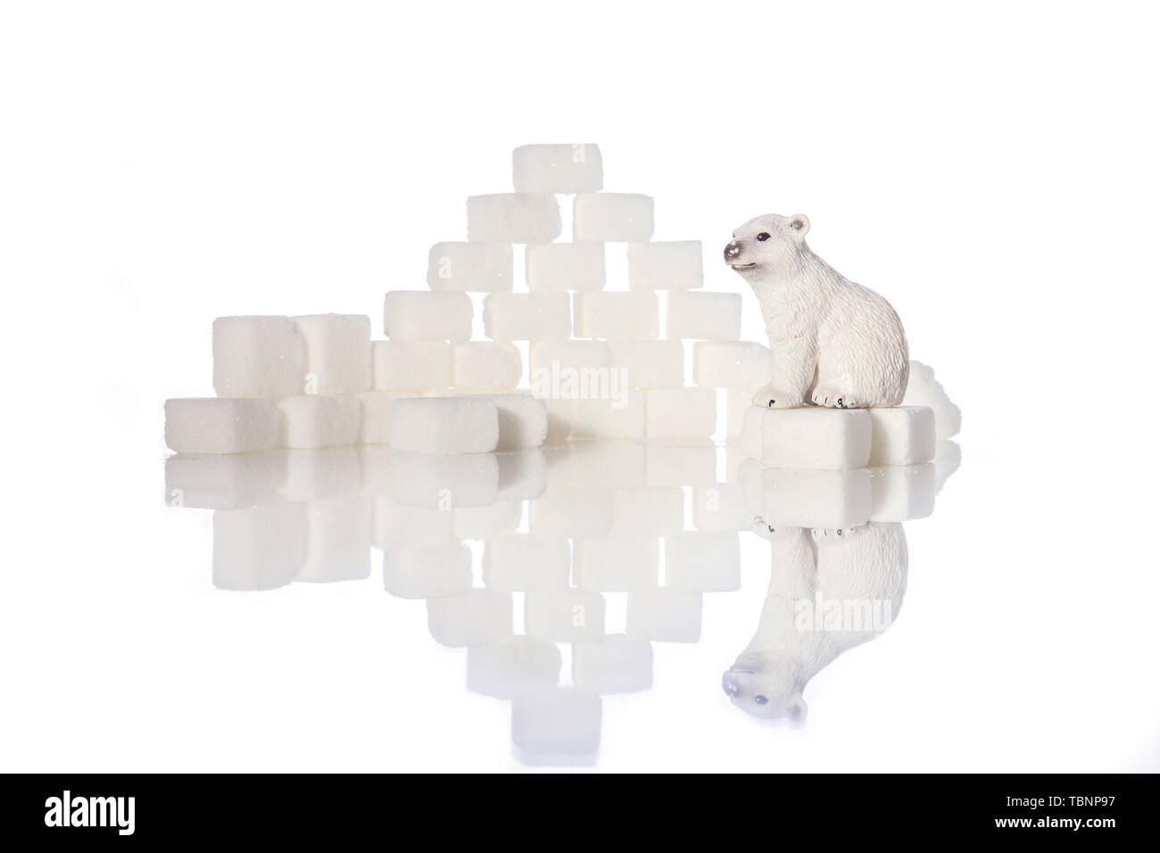 Creative shot of Sugar and Polar Bear Stock Photo - Alamy