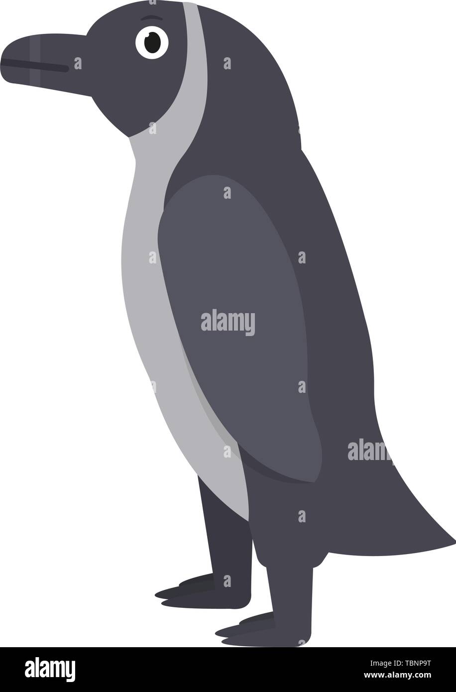 Penguin icon in flat style, african animal vector illustration Stock ...