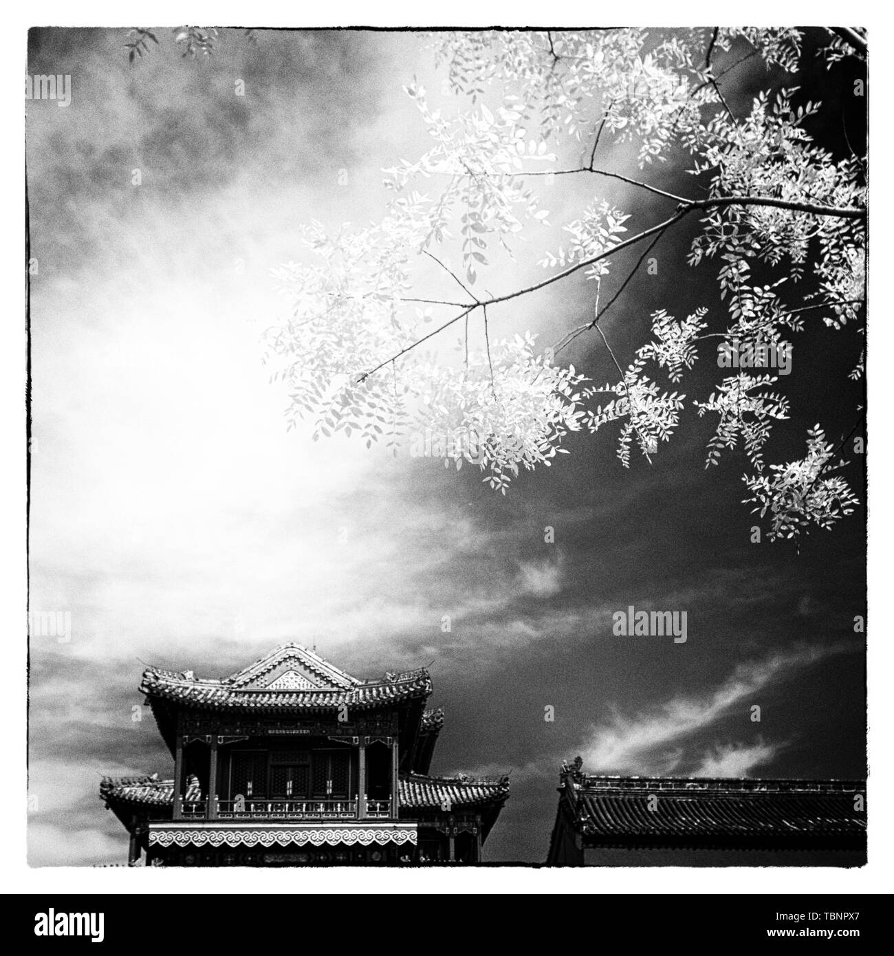 Palace field Cut Out Stock Images & Pictures - Alamy