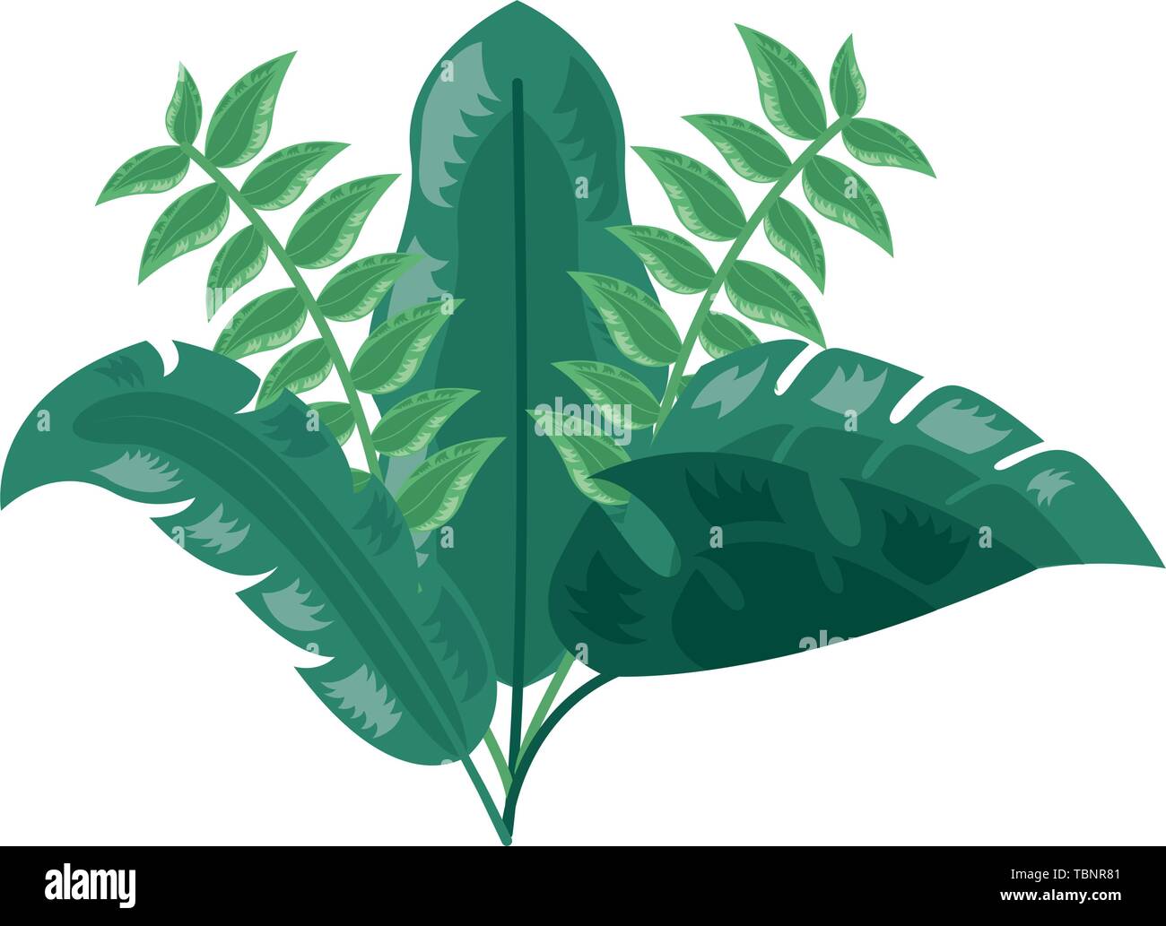 tropical leaves foliage arrangement Stock Vector Image & Art - Alamy
