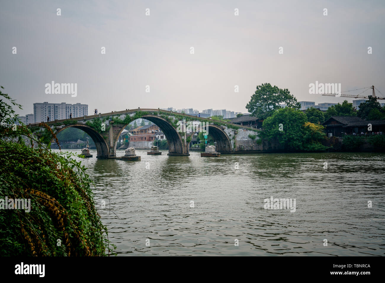 Urban bridges and trees hi-res stock photography and images - Alamy