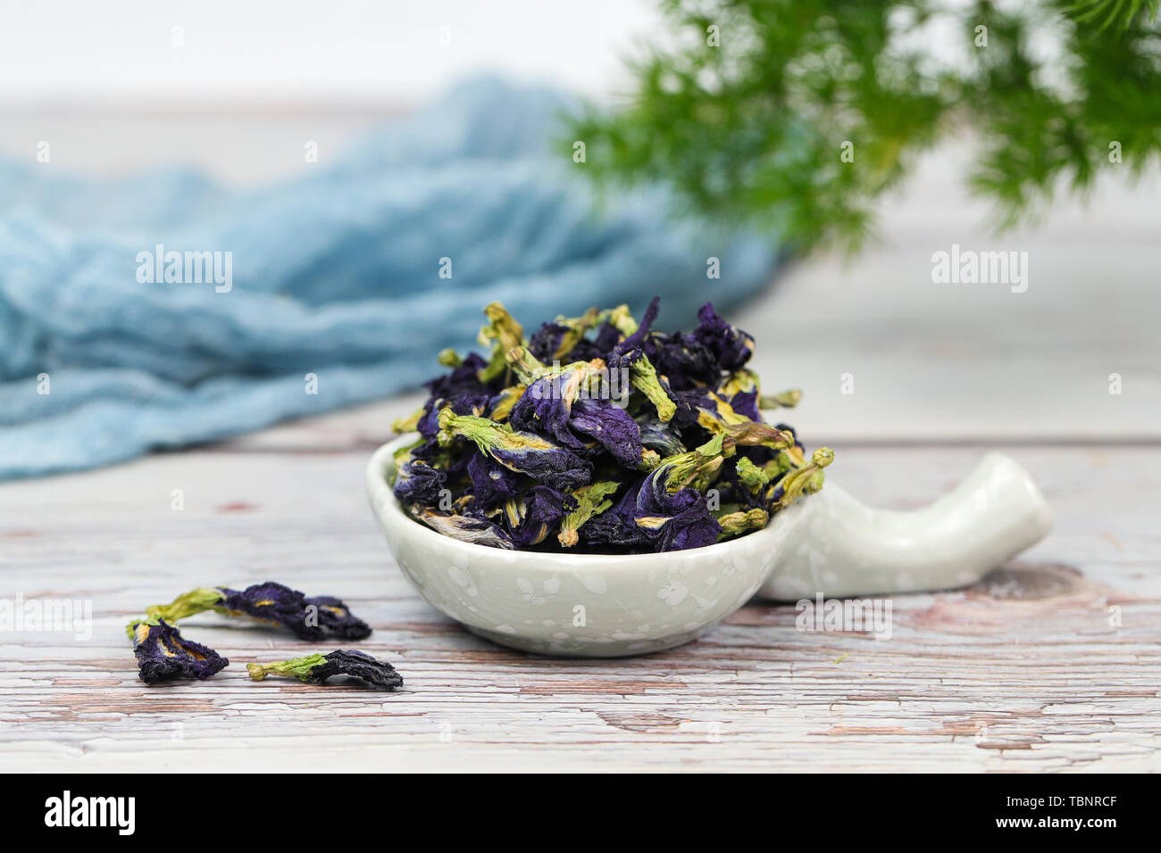 Butterfly bean flower tea blue butterfly flower Stock Photo - Alamy