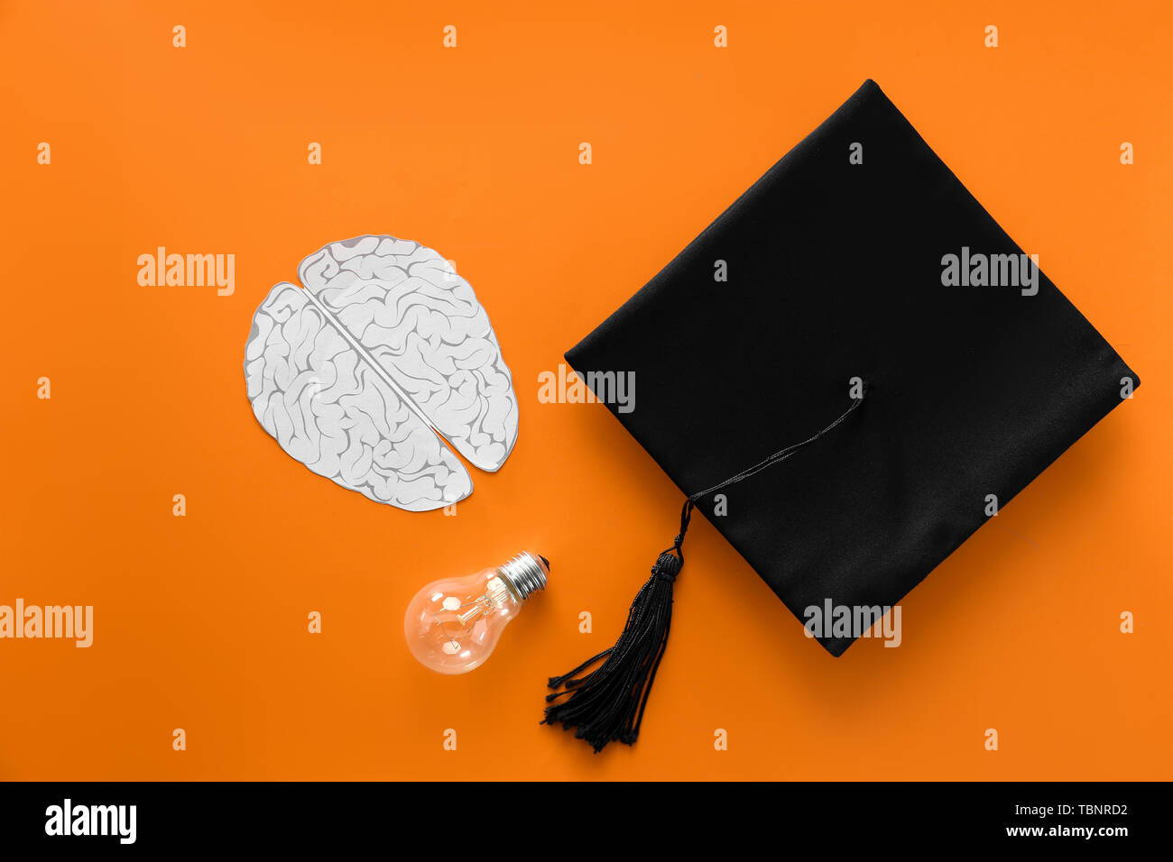 Brain graduation cap hi-res stock photography and images - Alamy