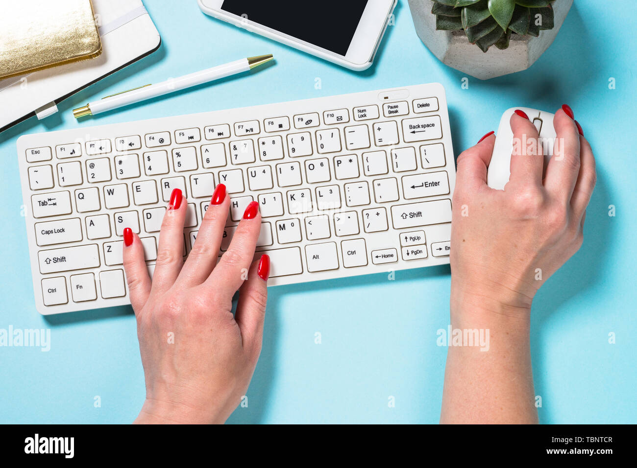 Office desk with keyboard, succulent and pen on blue background Stock ...
