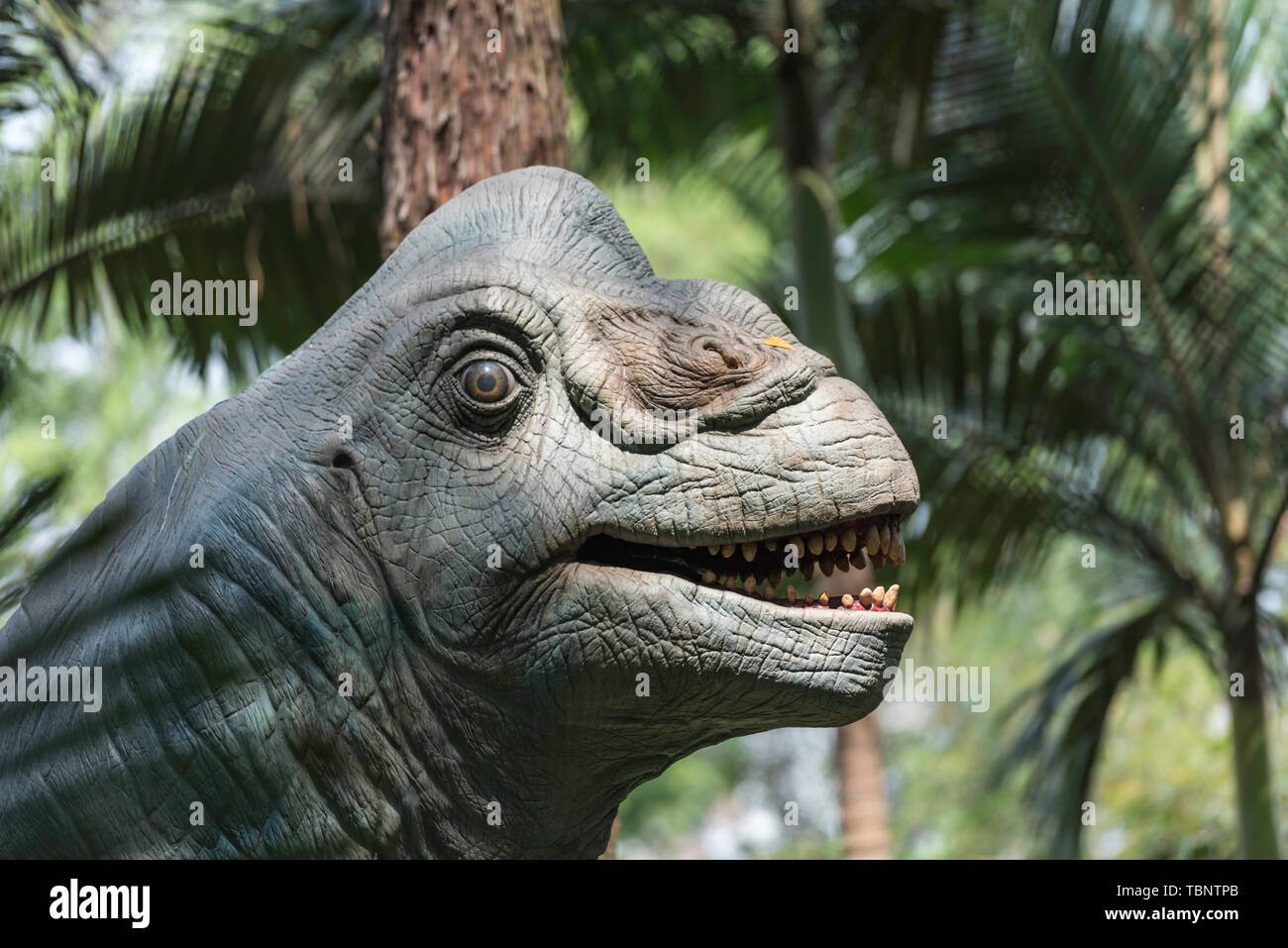 Dinosaur Stock Photo - Alamy