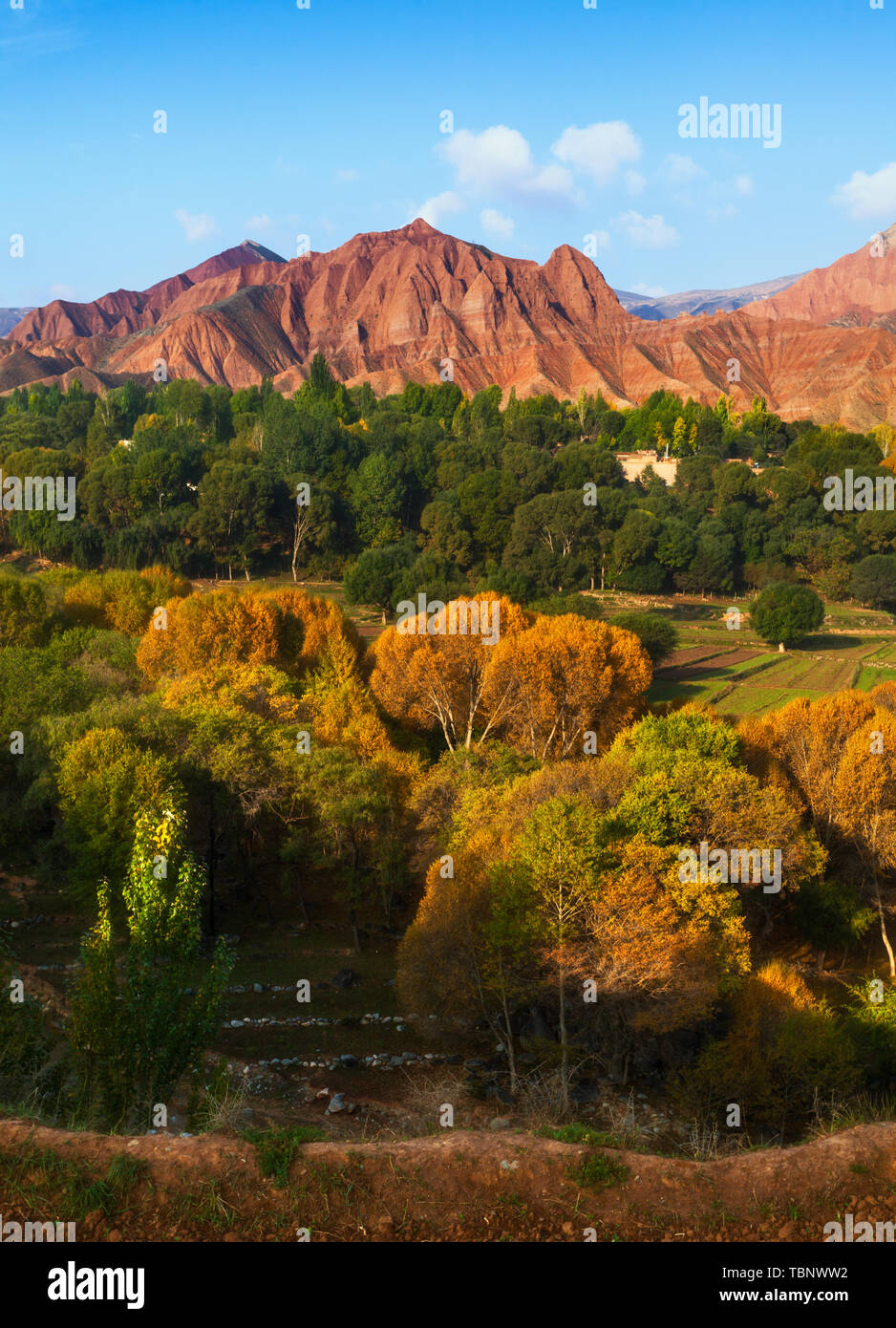 Xunhua hi-res stock photography and images - Alamy