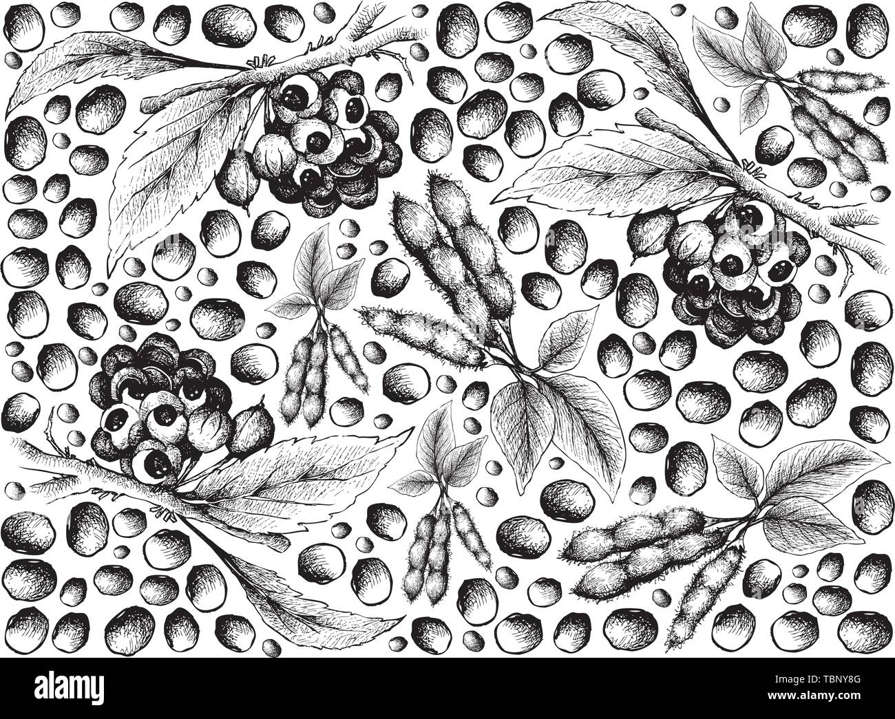 Vegetable, Illustration Wallpaper of Hand Drawn Sketch Red Guarana or ...