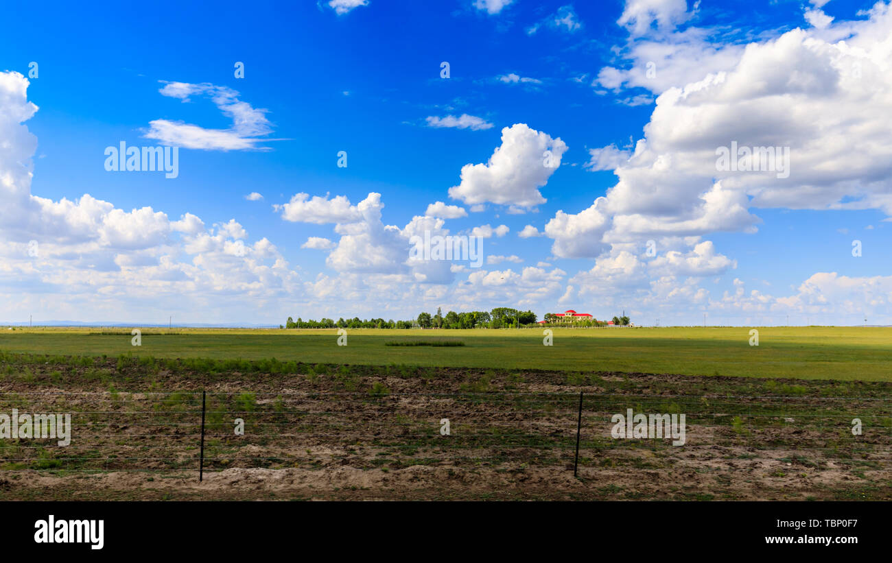 Summer in Hulunbuir Prairie, Inner Mongolia Stock Photo - Alamy