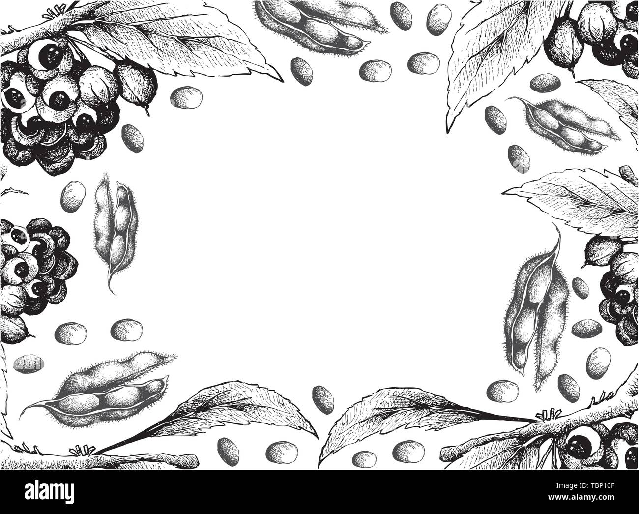 Red Fruits And Vegetables Drawing