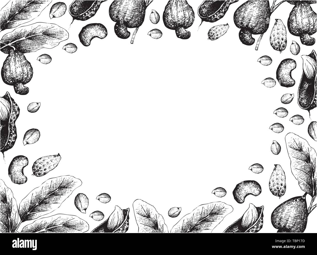 Groundnuts peanuts background Stock Vector Images - Alamy