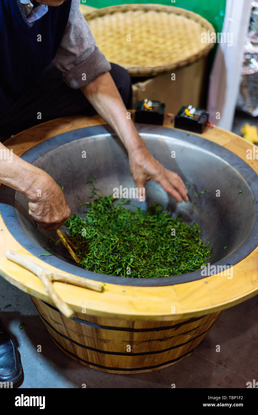 The tea maker Stock Photo - Alamy