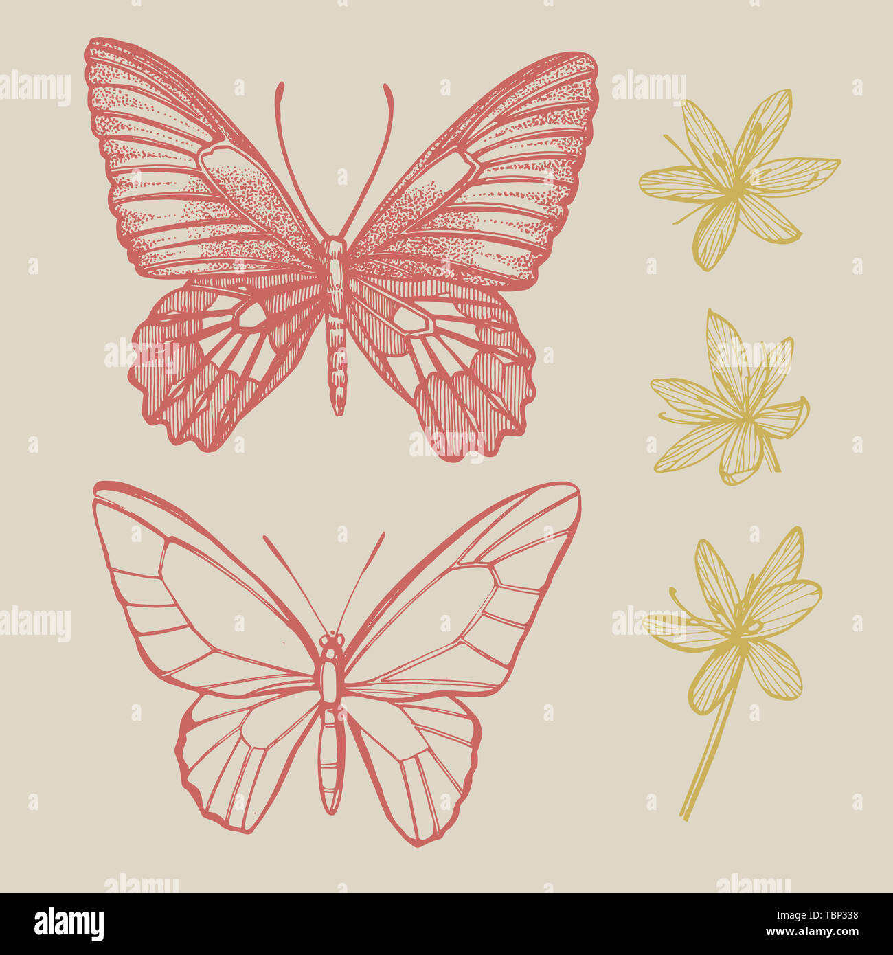 Butterflies silhouettes. Butterfly card template on romantic ckground ...