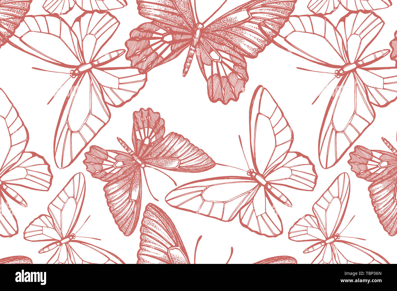 Butterflies silhouettes. Butterfly card template on romantic background ...