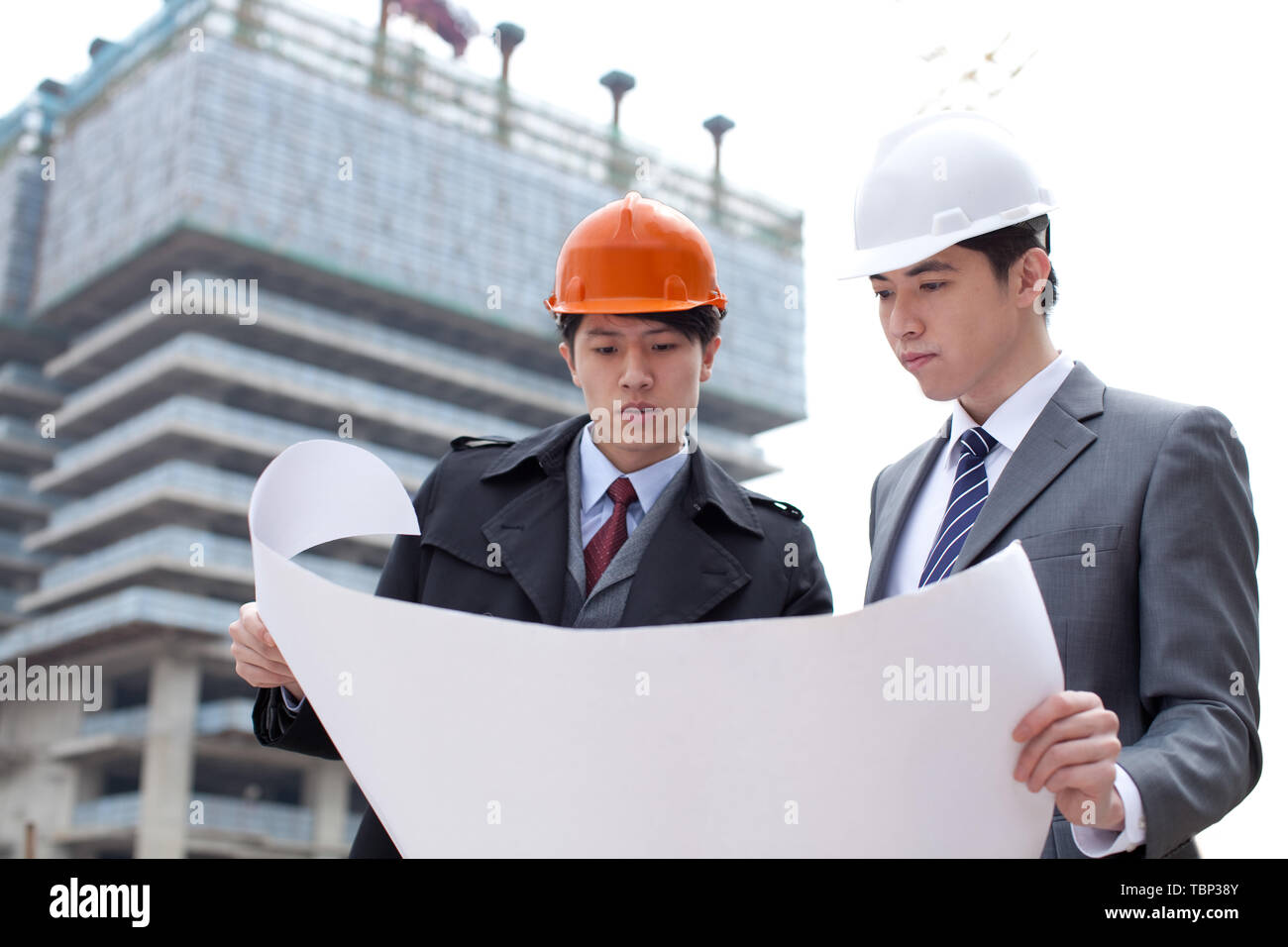 Staff at the construction site Stock Photo - Alamy