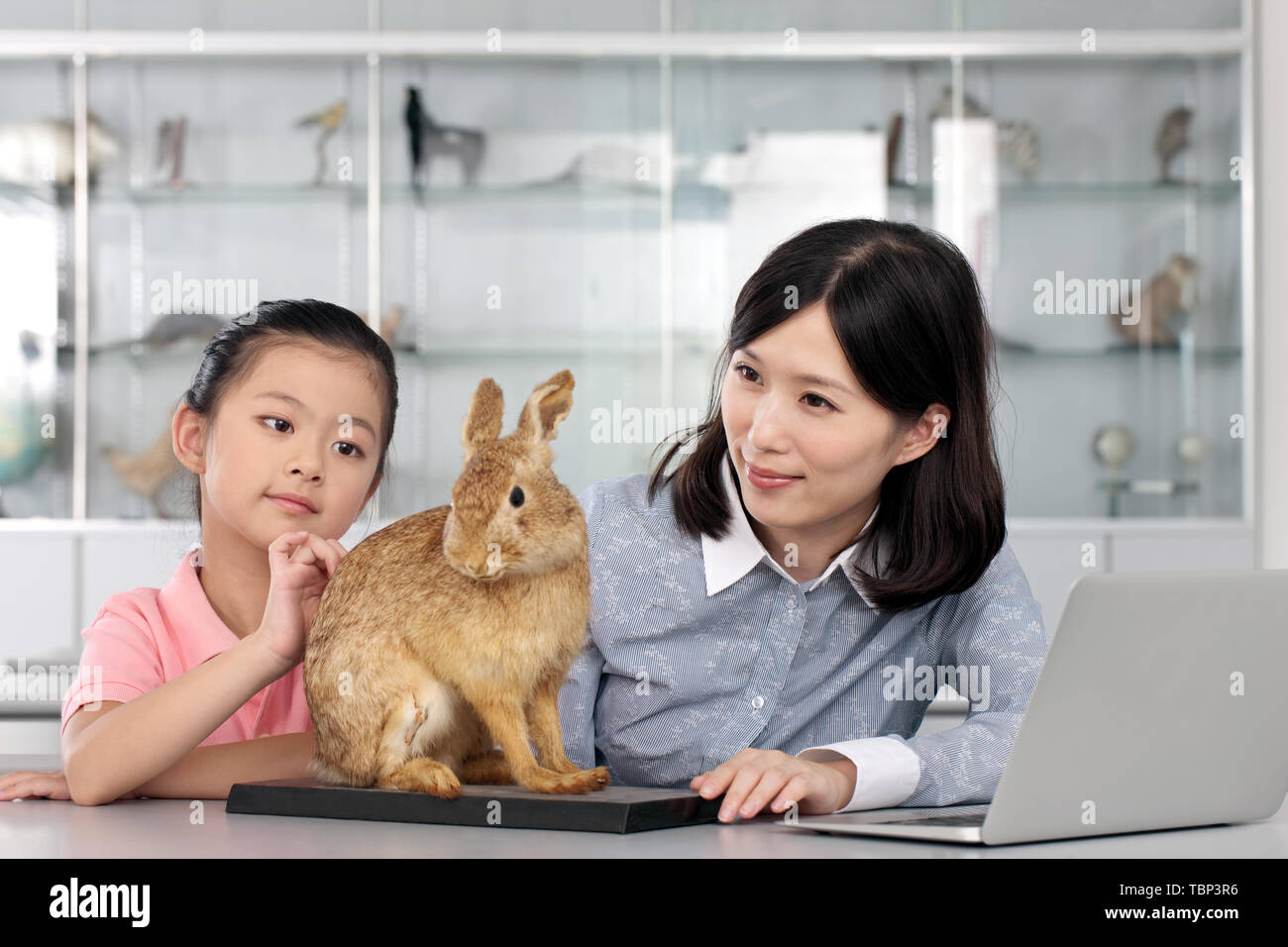 Primary school students take biology class Stock Photo - Alamy