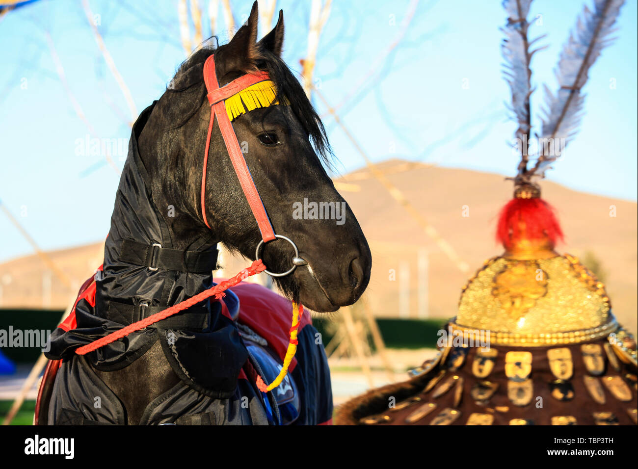 Humanities photography creativity hi-res stock photography and images ...