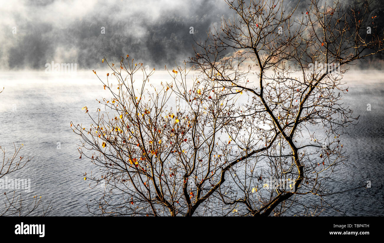 Late winter ink painting Stock Photo - Alamy