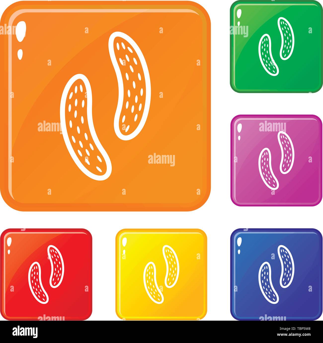 Epithelial cell icons set vector color Stock Vector Image & Art - Alamy