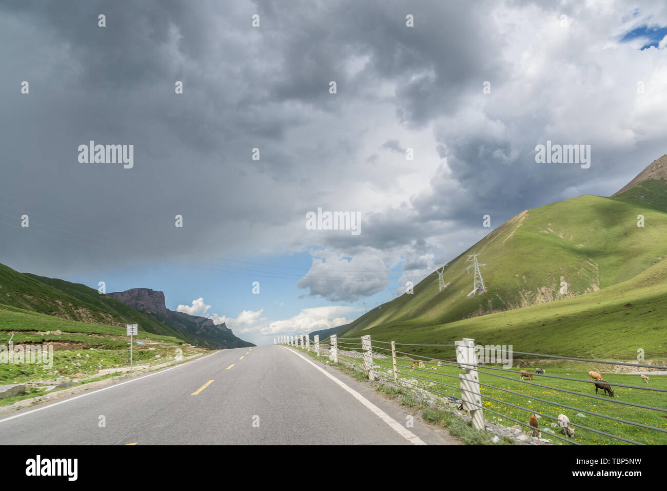 Summer Xinjiang alpine grassland road car background Stock Photo - Alamy