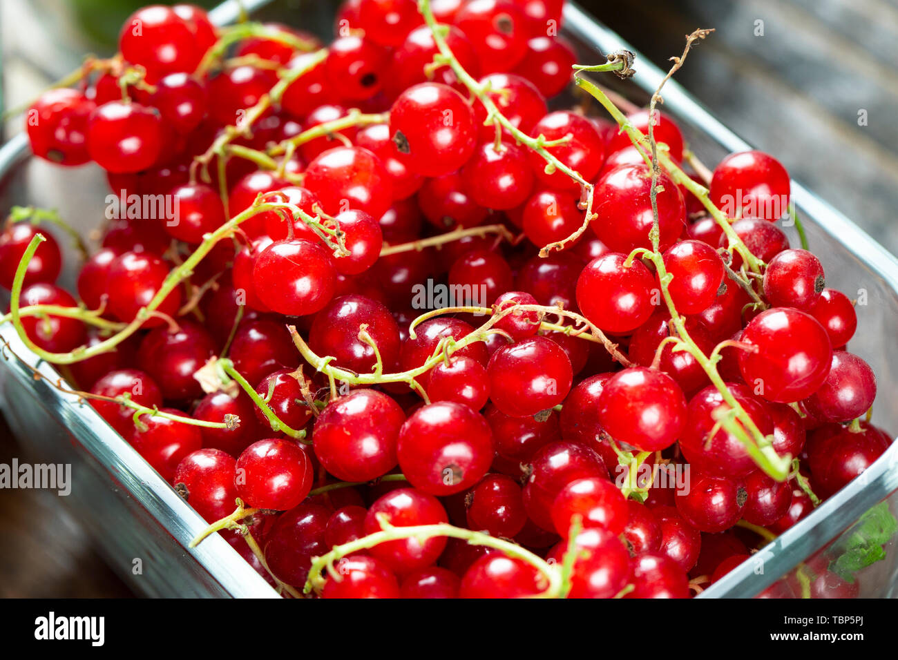red currant with glass plate, closeup, bright rustic background Stock ...