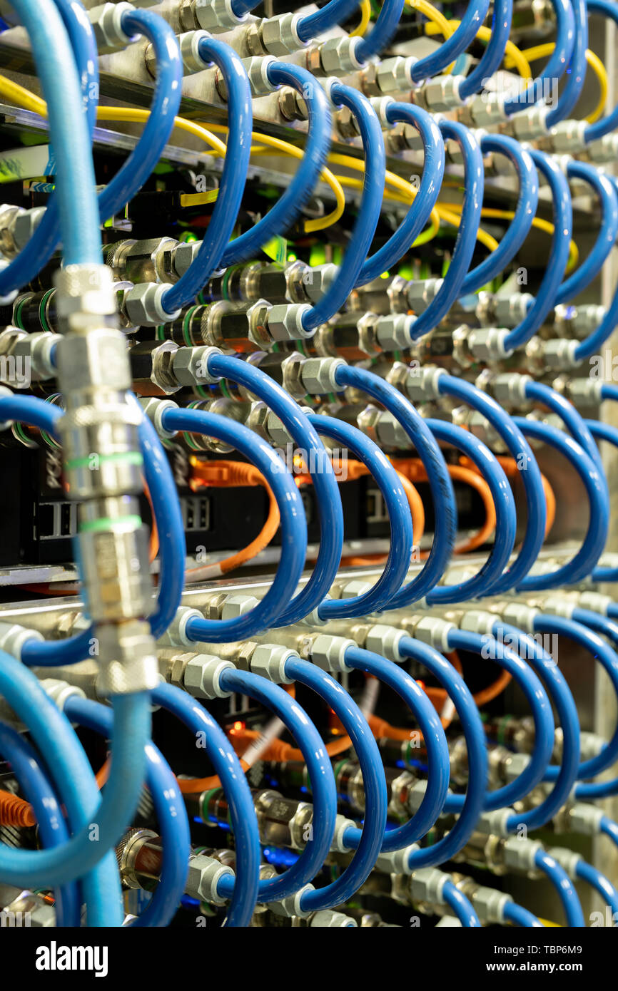 Close-up of blue server cables connected to optic ports of modern ...
