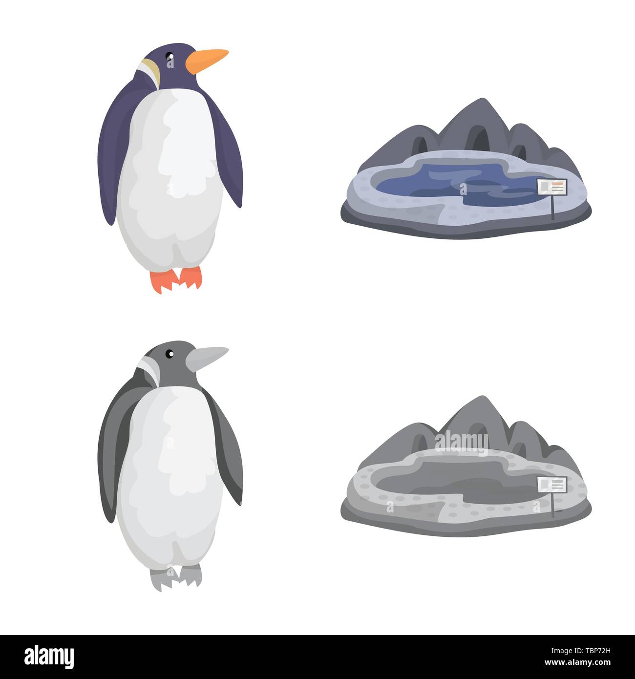 penguin,lake,white,pool,cute,water,wild,stone,north,swimming,winter ...