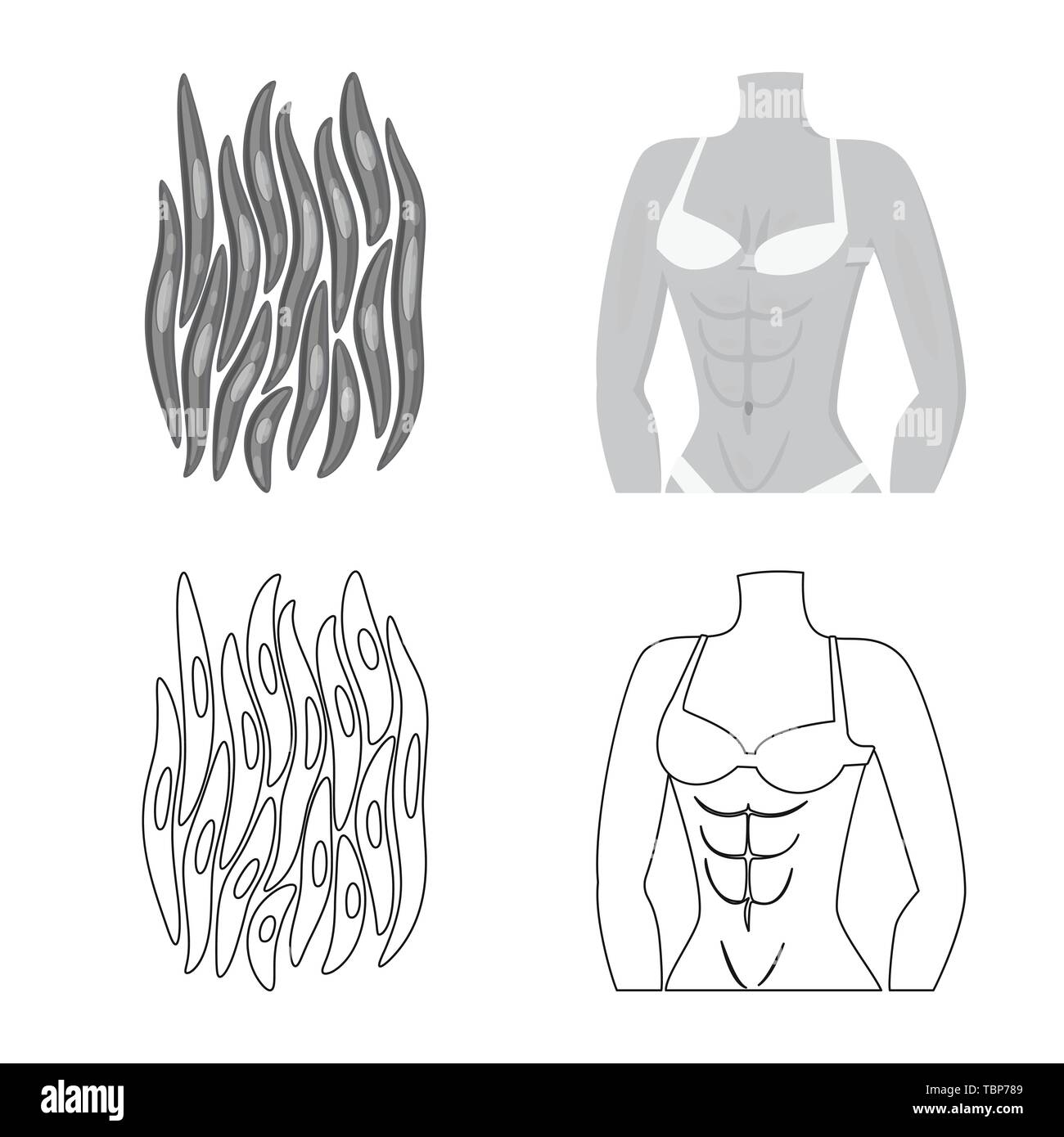 Vector illustration of fiber and muscular icon. Set of fiber and body ...