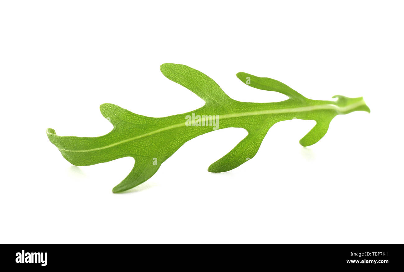 Leaf of fresh arugula on white background Stock Photo - Alamy